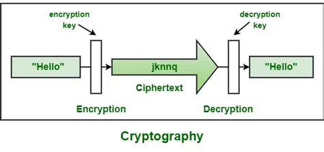 Top 3 Skills Blockchain Developers Should Have