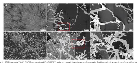 Figure 1 From Seed Mediated Synthesis Of Plasmonic Gold Nanoribbons Using Cancer Cells For