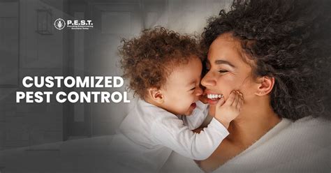 Pest Control In Bradenton Fl The Pest Group