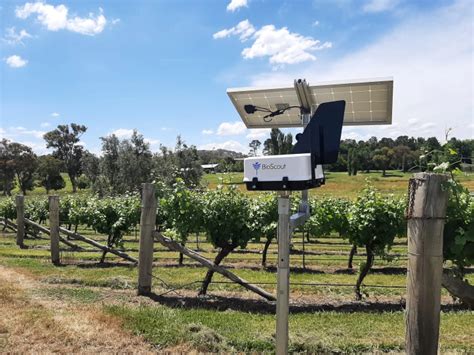 Automated Disease Sensor Agtech Finder