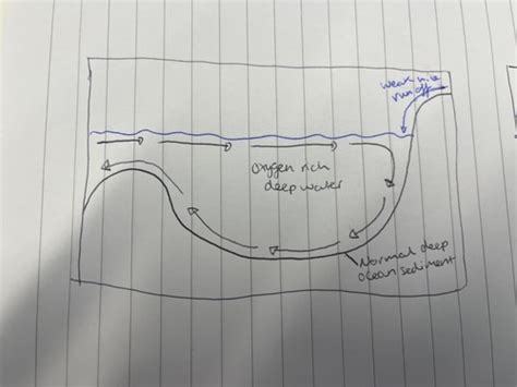 Biogeochemistry Diagrams Flashcards Quizlet