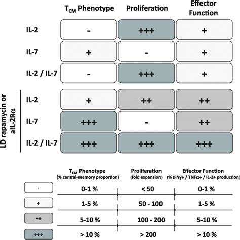 In Vitro Generation Of T Cm Cells Is Growth Factor Dependent