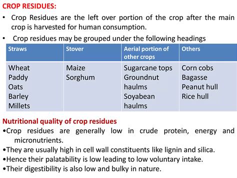 Classification Of Feedstuffspdf