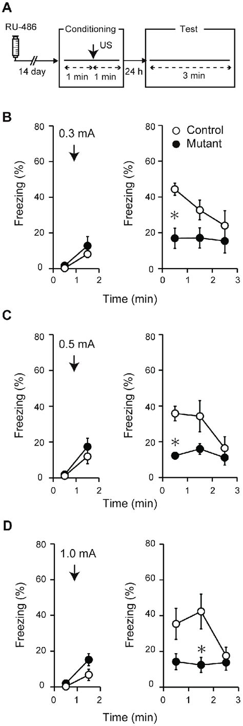 Effect Of Striatal Neuron Ablation On Contextual Fear Conditioning
