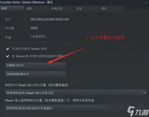 Csgo国服启动项设置方法九游手机游戏