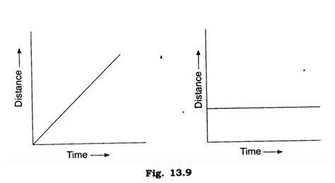 NCERT Solutions For Class Science Chapter Motion And Time