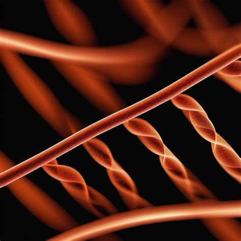 Congenital Deformity Of Hip Unspeci Q65 9 Dx