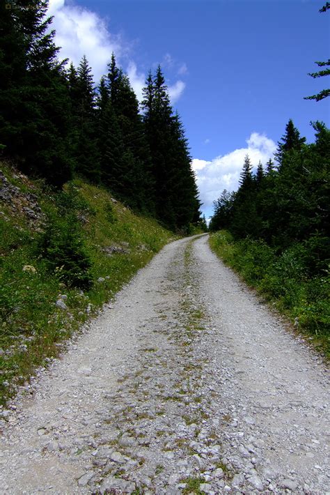 Mratinje Tjenti Te Magli Takeadventure