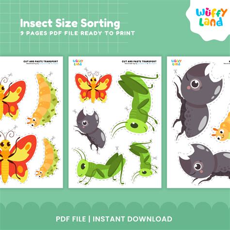 Insect Size Sorting Game Sort By Size Worksheet Homeschool Maths