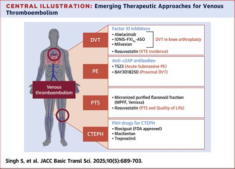 Recent Pathophysiological Insights Are Advancing The Treatment Of