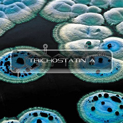 Trichostatin A Interstellar Blends Activate Your Super Powers