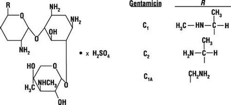 Gentamicin Sulfate Package Insert