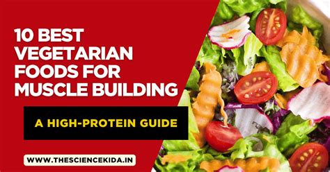 10 Best Vegetarian Foods For Muscle Building A High Protein Guide