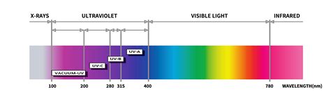 Impact Of Uv And Ir Lights On Cannabis
