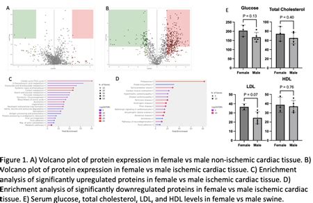 Abstract P3111 Sex Differences In The Proteomic Response To Chronic
