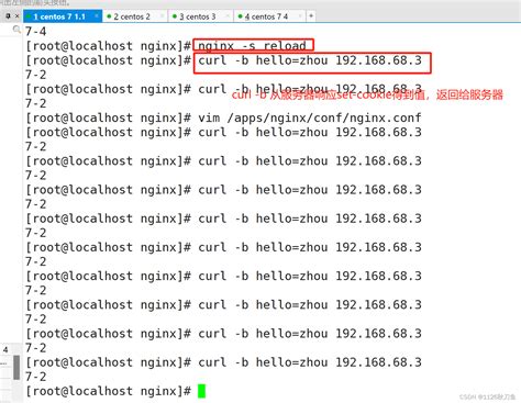 Nginx（三）实现反向代理客户端 Ip透传nginx Ip透传 Csdn博客