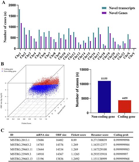 Frontiers Transcriptome Profiling Of A549 Non Small Cell Lung Cancer