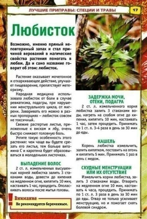 Пин на доске Блог Полезные советы Рецепты здорового питания