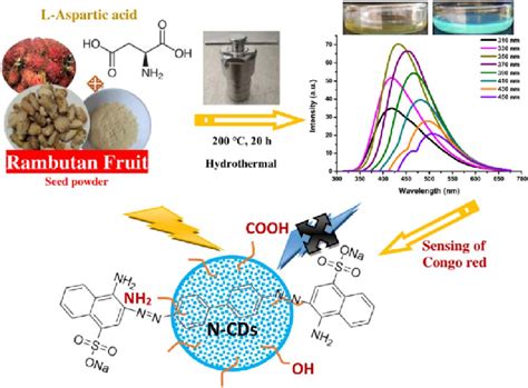 The Synthesis Optical Properties And Applications Of N Cds