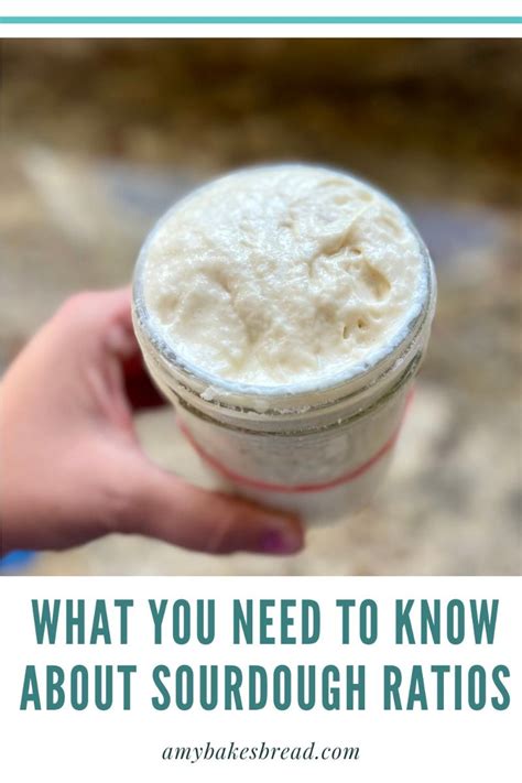 How To Feed Sourdough Starter 10 Tips For A Healthy Starter Artofit