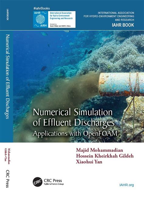 pdf numerical simulation of effluent discharges applications with