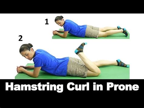 Prone Hamstring Curl