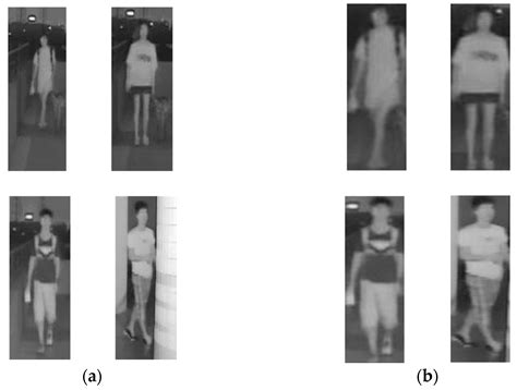 Estimation Of Fractal Dimension And Segmentation Of Body Regions For Deep Learning Based Gender