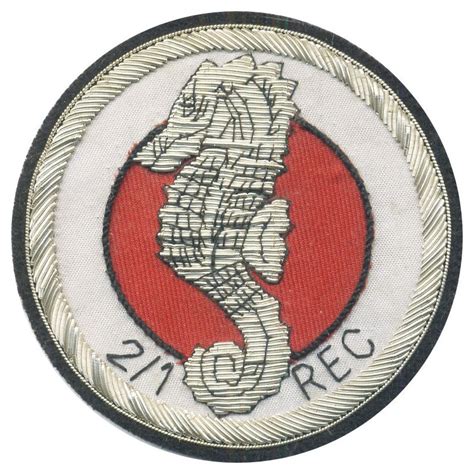 1 REC 2 ESCADRON Insignes Militaires Collections