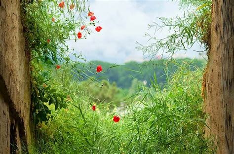 Angela E On Linkedin The Secret Place Kept By The Power Of God