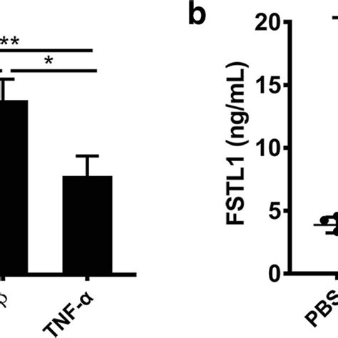 Il 1β And Tnf α Could Promote The Expression Of Fstl1 In Chondrocytes
