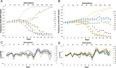 Evolutionary Dynamics Of The Populations Evolved Within Download