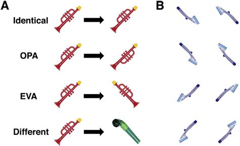 A Schematic Illustration Of The Experimental Conditions B Each Download Scientific Diagram