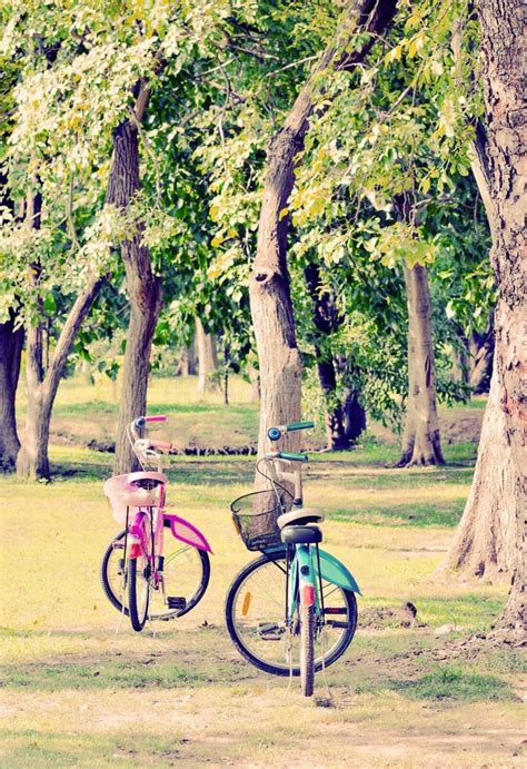 Los Usuarios Consideran Dos Bicicletas En El Parque Imagen De Archivo