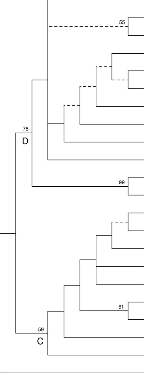 The Majority Consensus Tree Of 25 Equally Parsimonious Trees Of 21