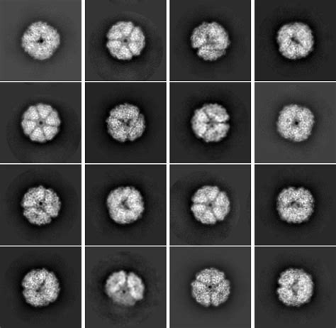 Figure 4 From A Common Lines Approach For Ab Initio Modeling Of Molecules With Tetrahedral And