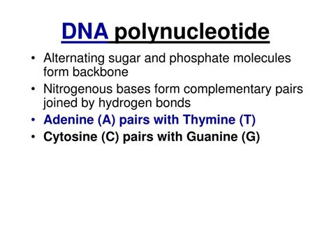 Ppt Dna Vs Rna Powerpoint Presentation Free Download Id 4967936