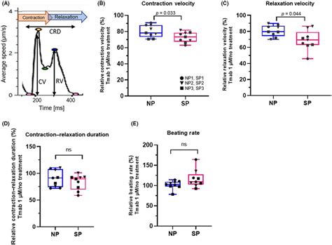Contractility Analysis Of Patient‐specific Induced Pluripotent Stem