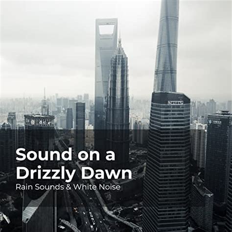 Spiele Sound On A Drizzly Dawn Von Rain Sounds And White Noise Raindrops