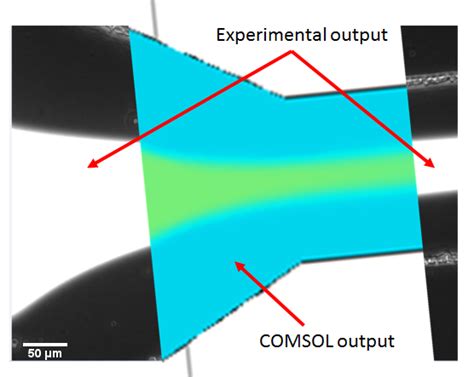Comparison Of Comsol Result With Experiments Under The Same Flow Rates Download Scientific