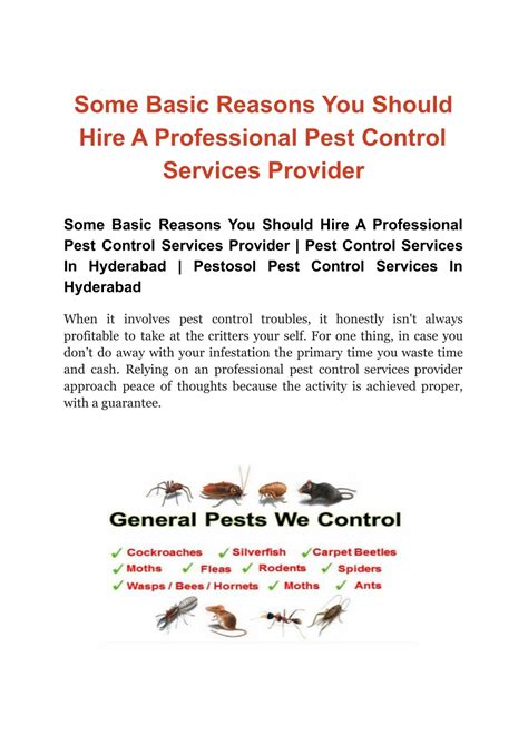 Ppt Some Basic Reasons You Should Hire A Professional Pest Control