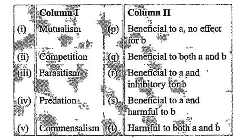 Match The Columns End Choose The Correct Combination