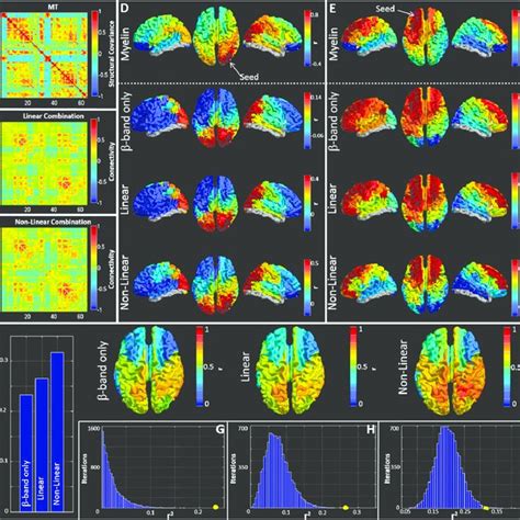 Predicting Myelination Based On Integrated Meg Networks Ac Matrices Download Scientific