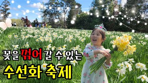Carterton Daffodil Festival In New Zealand L 뉴질랜드 웰링턴 파머스톤 노스 근처 카터톤 마을