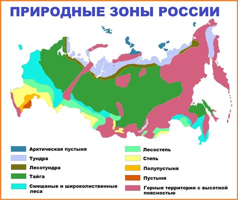 какая природная зона сменяет к югу зону тундры Школьные Знания Com