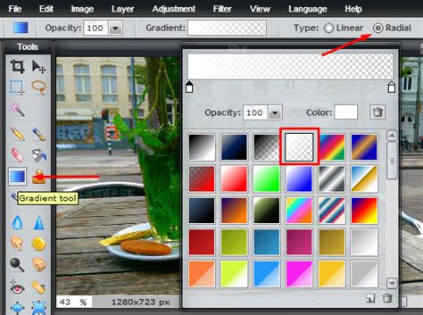 How To Blur The Background Of A Photo In Pixlr