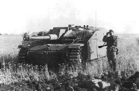 Stug Iii Ausf F 8 Late Production Dragon 6644 Maquette English