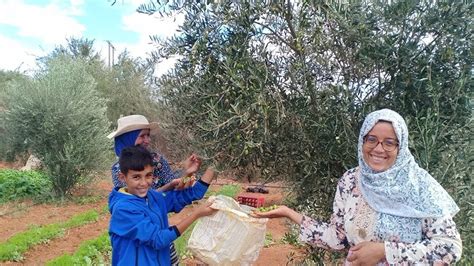 موسم جني الزيتون🫒مع سميرة فالبادية الفجل المعدنوس 👩‍🌾البصل🧅الخير موجود
