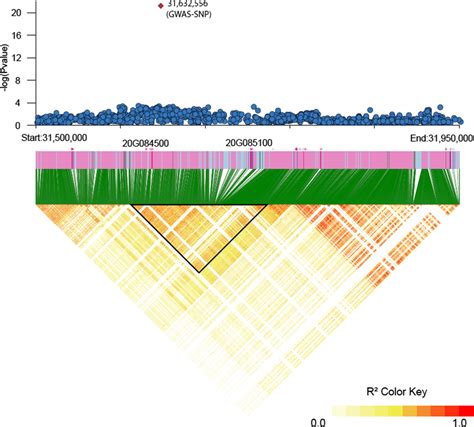 Linkage Disequilibrium R2 Between Snps Across 450 Kb Region