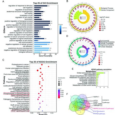 Go And Kegg Enrichment Analysis Of The Degs Only Expressed In The Upper