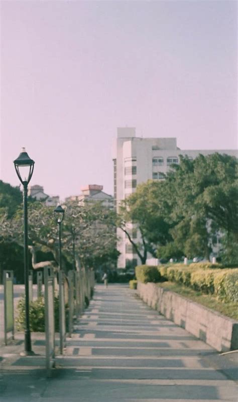 畢業季 淡江大學板 Dcard